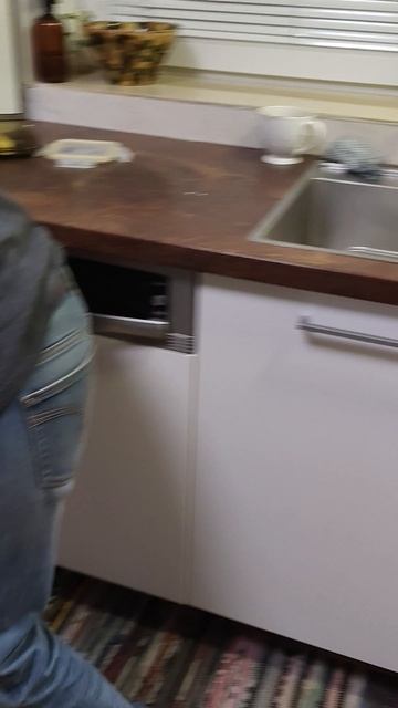 Мини тигр с пантерой самые наглые...