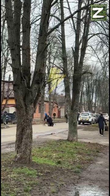 ТЦК один обосрался другого Питбуль в Полтаве отбил хозяина у людоловов.