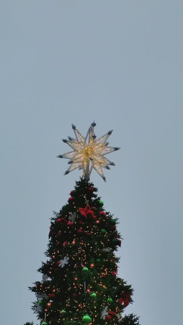 Утреннее настроение 57 / Morning mood 57 ☀️☀️☀️#goodmorning #доброеутро #Москва #зима2025