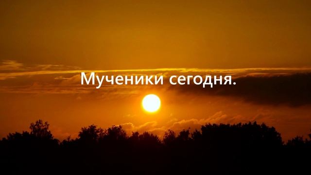 Мученики сегодня   ..