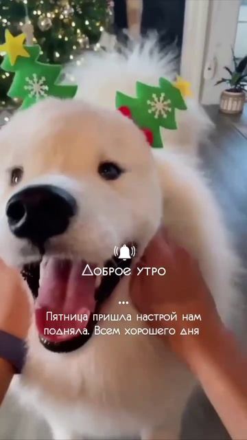 Доброе утро