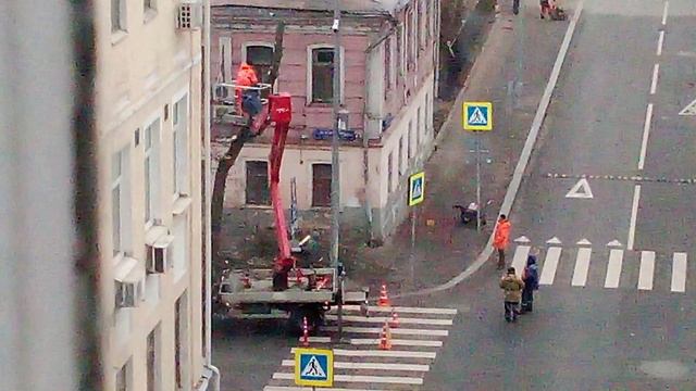 Как пилят сухие деревья. Очень интересный видос.