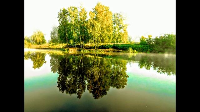 сентябрь 05, 2018 - Туманное утро, Паутинки и красота на пруду