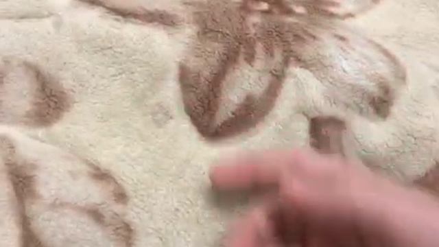 Роблокс закончился… Внеплановое видео! РОБЛОКС В РОССИИ ЗАБЛОКИРОВАЛИ!!!