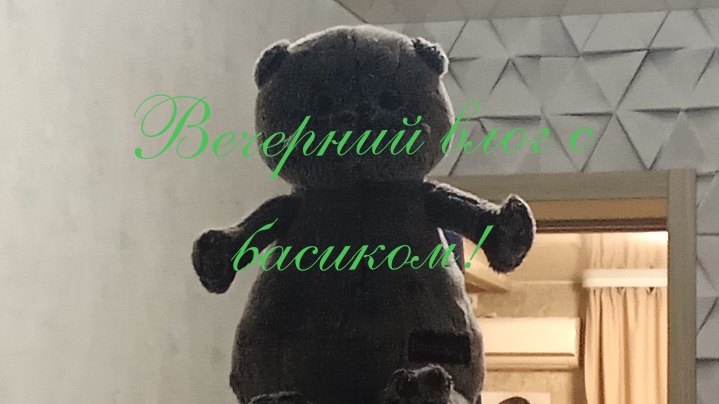 Вечерний влог с басиком!