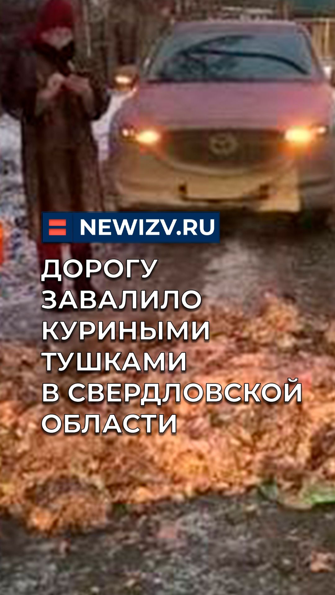 Дорогу завалило куриными тушками в Свердловской области