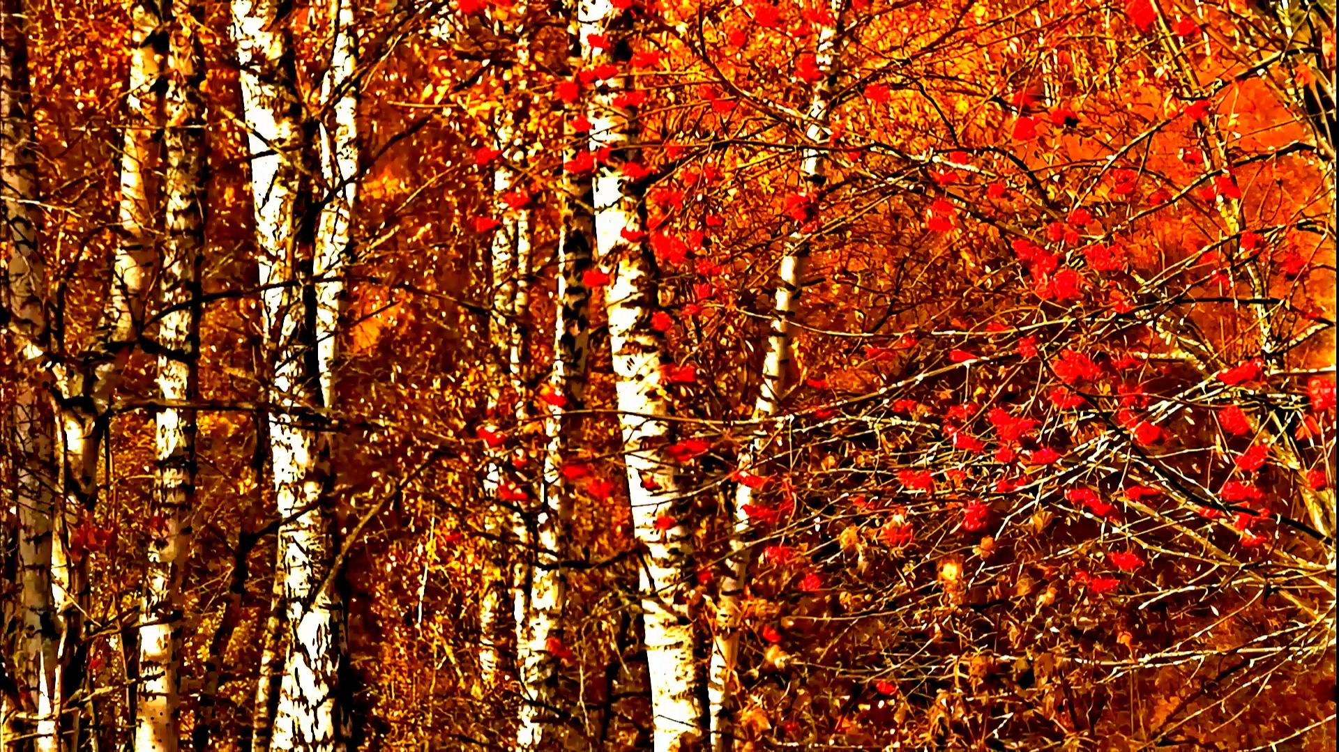 Осень - с. Богословское