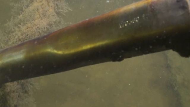 Как водолазы ЦПИ РГО обследовали легендарный истребитель «Харрикейн». Отражение балтийского неба