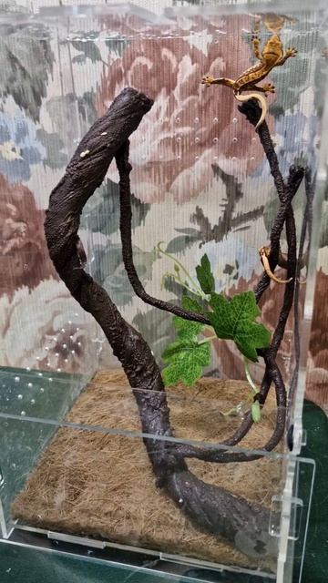 СЕМЕЙНАЯ ИПОТЕКА ДЛЯ ВСЕХ