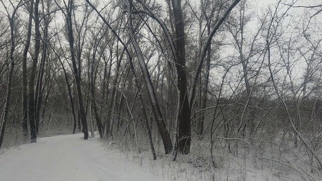 Зимнее утро.😊