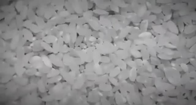 .... Почему Рис так важен для людей....