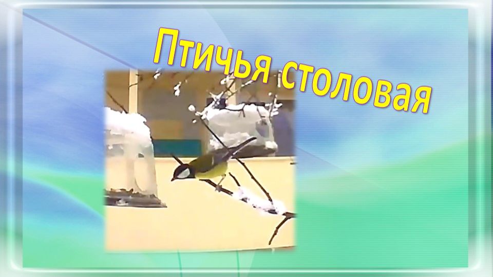 Птичья столовая