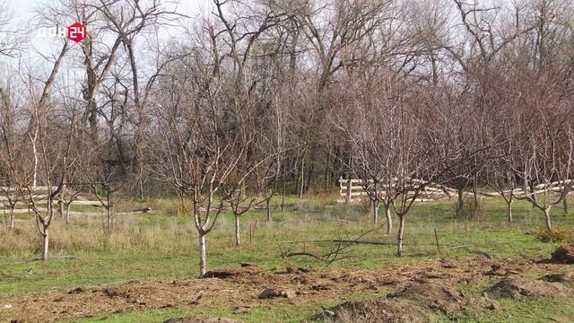 Станица-на-Дону 05.12.2025