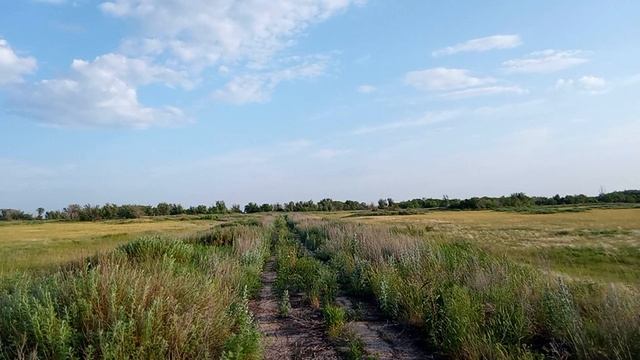 Окрестности посёлка Светлый, Краснопартизанский район.