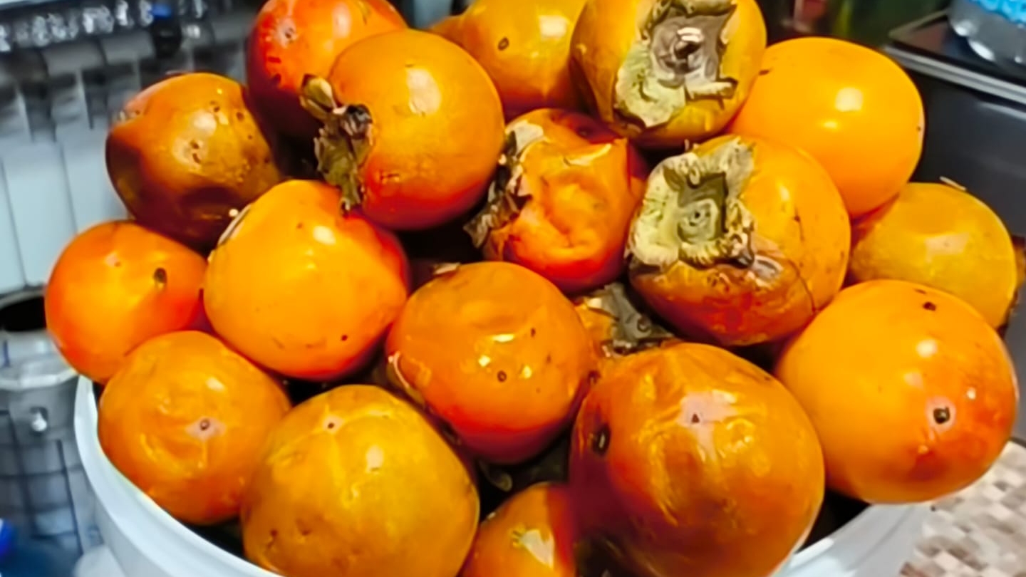 Фруктовую брагу ставлю только на этих дрожжах