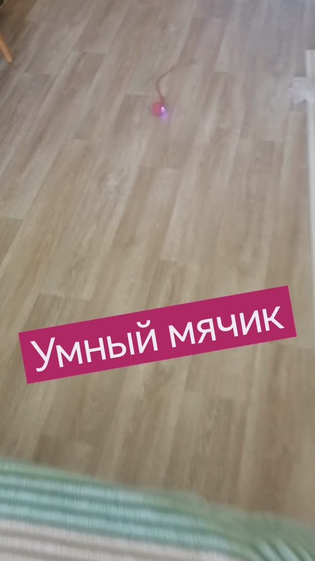 Умный мячик, или Кот в шоке🙀