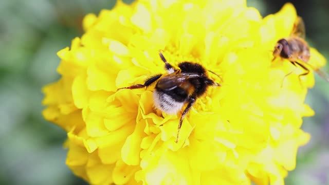 Любовь Божия. Красивая песня для души!