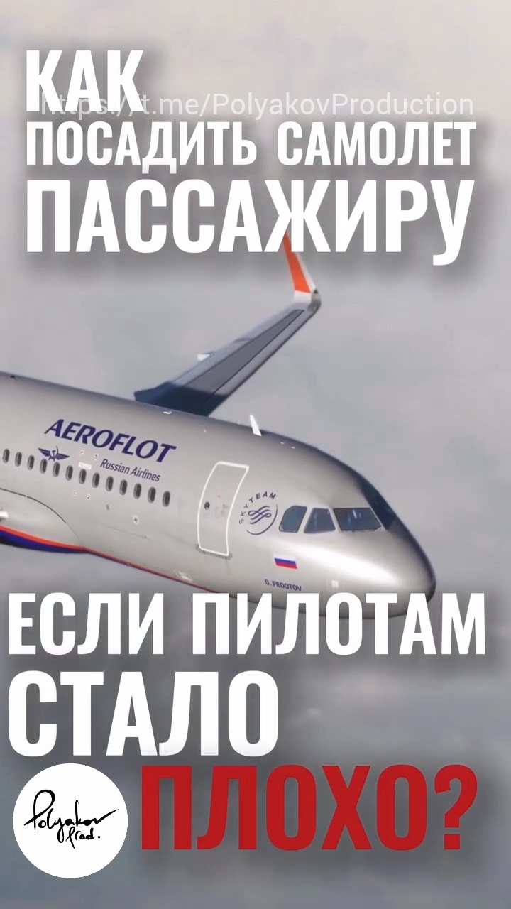 Как посадить самолёт  пассажиру, если пилотам стало плохо? https://t.me/PolyakovProduction