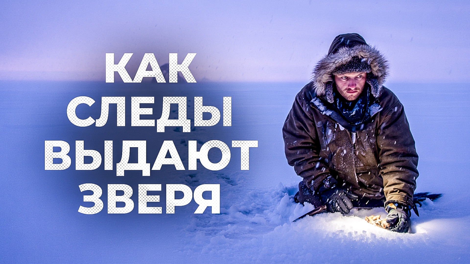 Как следы в тундре выдают зверя с головой до хвоста