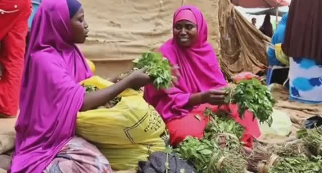 ... Что такое Кат....