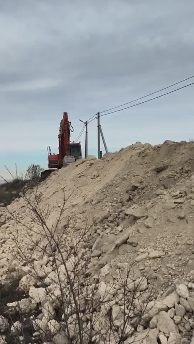 Драконы одарили Коноклипусом