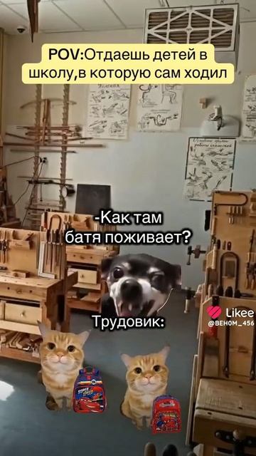 Like_7578056593308194322.mp4