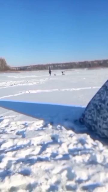 🐟❄️ Маленькие рыбки - большие мечты... 🤪