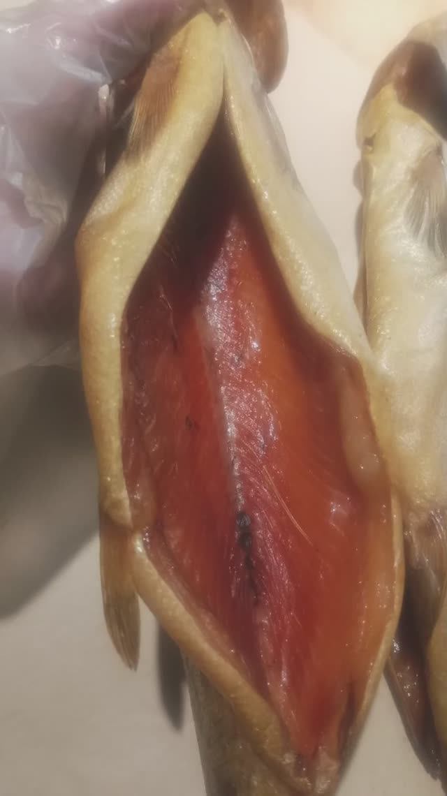 Первый опыт  холодного копчения со статикой 💥👍 #коптильня #рыба #еда