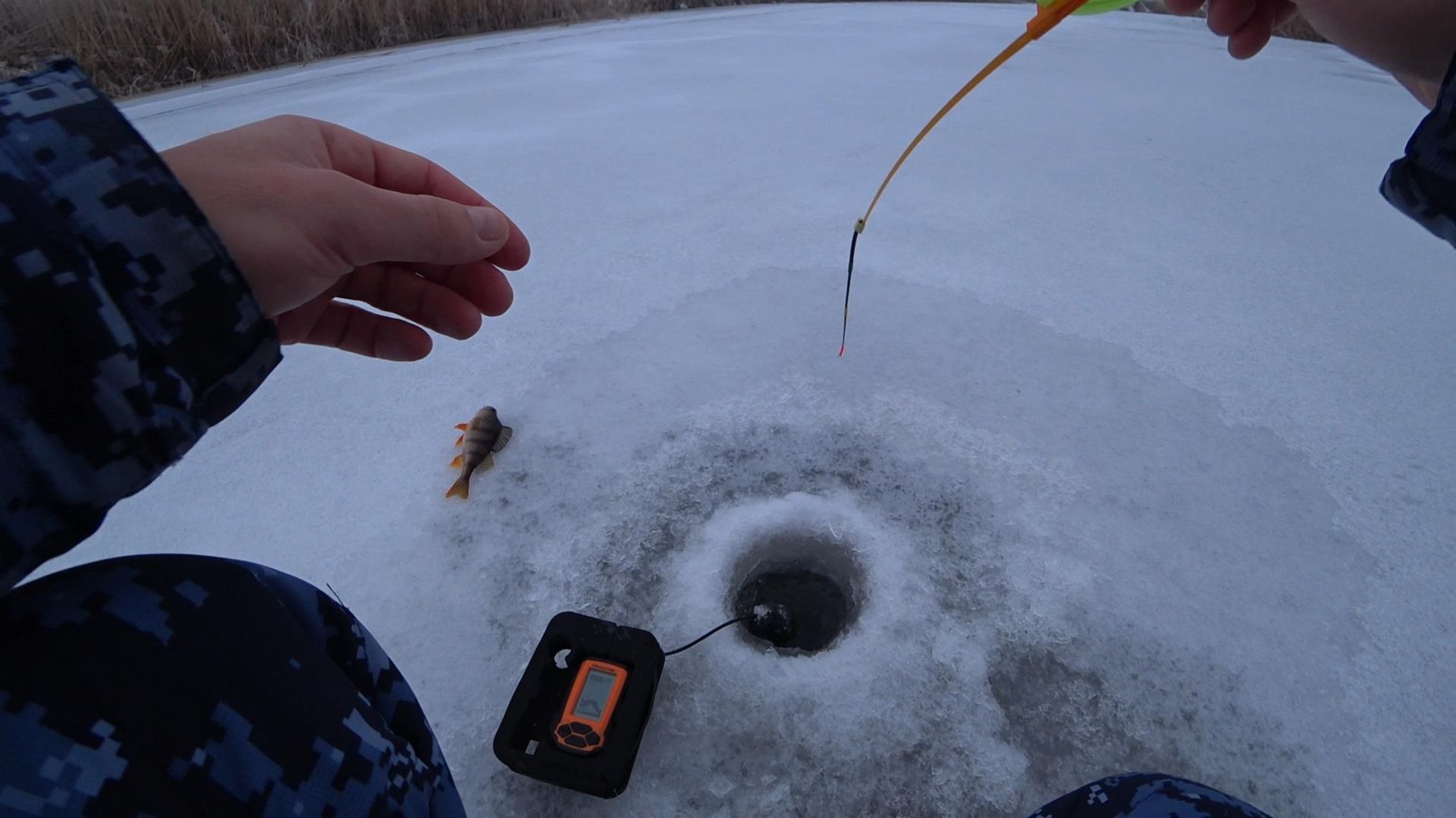 ОКУНЬ НА БЕЗМОТЫЛКУ И БАЛАНСИР! Нашёл корягу под водой и начался клёв!