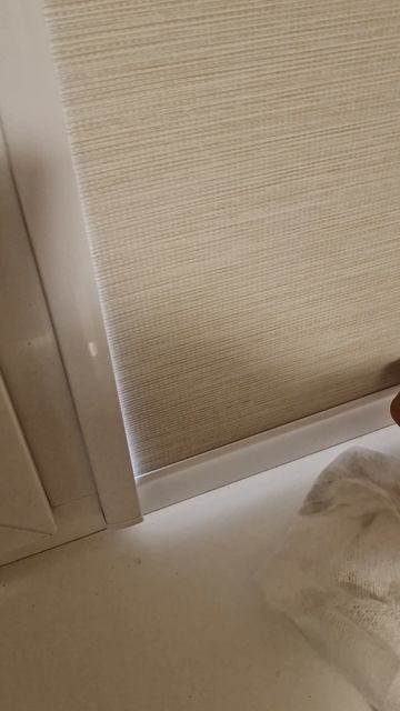 Котоинспекция кассетных рулонных штор уни2 на пружинном механизме. Ткань Корсо блэкаут светло-беж.