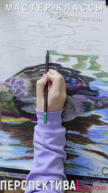 ЧЁРНЫЙ ЛЕБЕДЬ