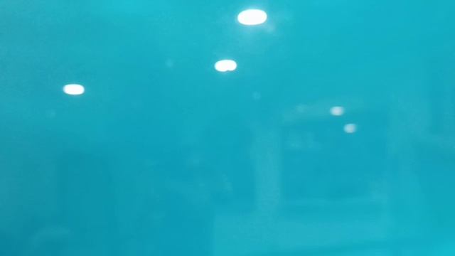 В ОЖИДАНИИ ВСТРЕЧИ