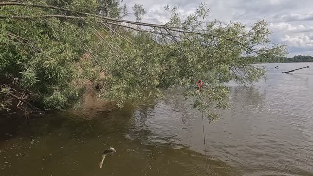 🎣КРАСАВА🎣fishing#туризм#природа#ловля#рыбалка#щука#ловлящуки#ночевка#Чулым#река#спиннинг