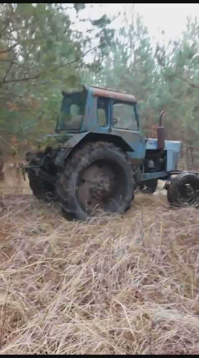 В лесу на МТЗ-80