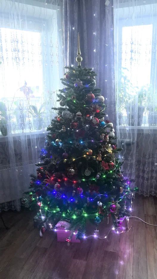 Когда лучше всего украсить елку для встречи 2026 года #елка #новыйгод #елка #рождество #зима2026