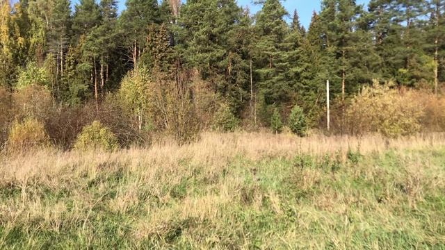 Когда природа становится интерьером. Финал остекления.