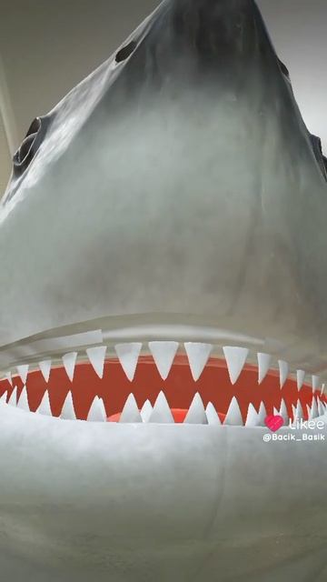 акула стреляет в Никиту и Басика