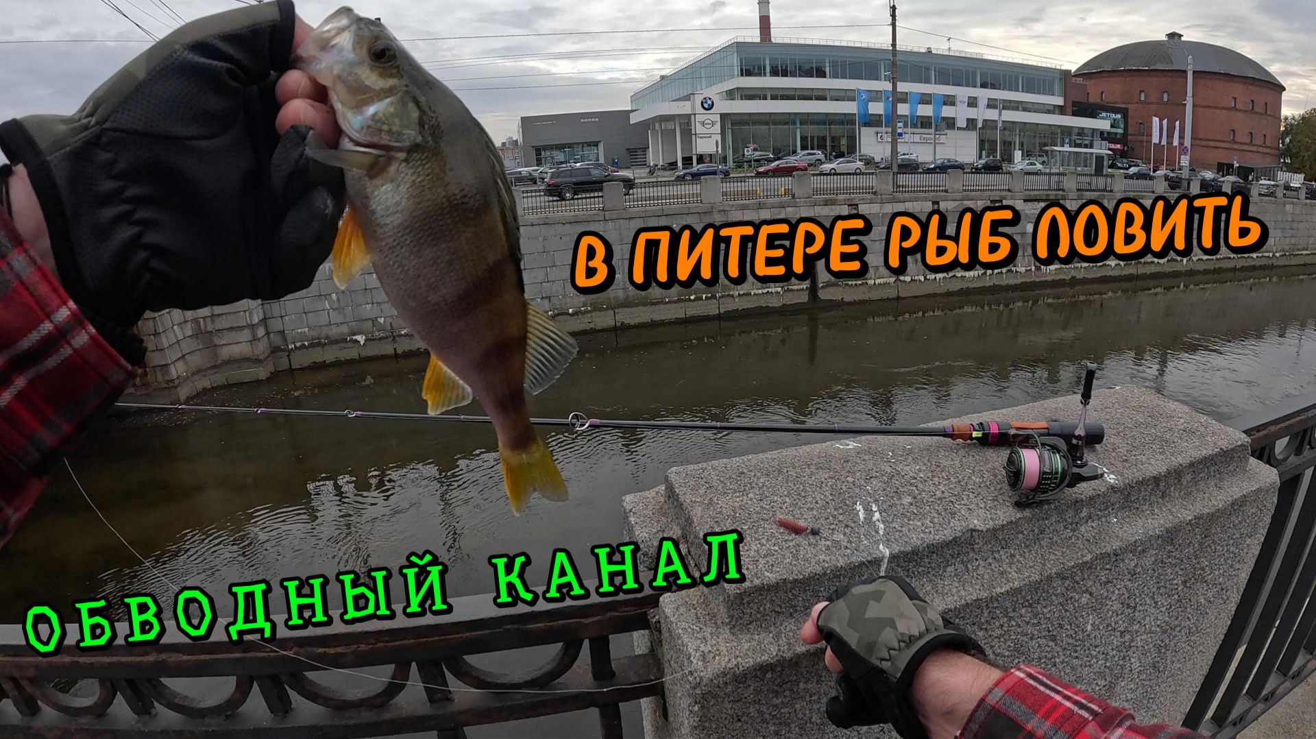 В Питере рыб ловить. Рыбалка в центре города. Обводный канал