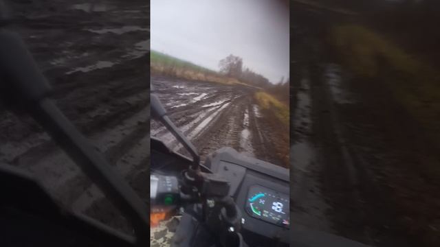 VID_20251206_145358.mp4