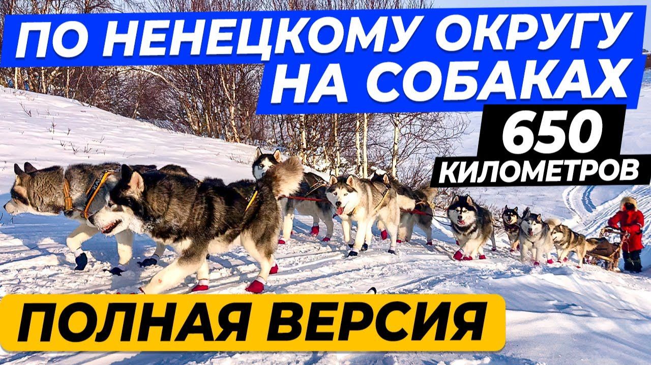 650 км на собаках по Ненецкому округу \ Нарьян-Мар \ Индига \ Полная версия