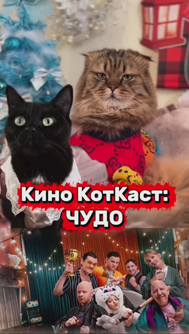 Кино КотКаст: ЧУДО🎬  #сериал #комедия #обзор #КиноКотКаст #котики