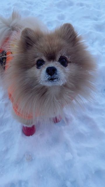 Булочке холода не страшны!