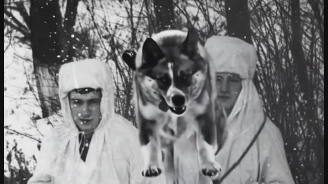 Западная граница. Пограничники.