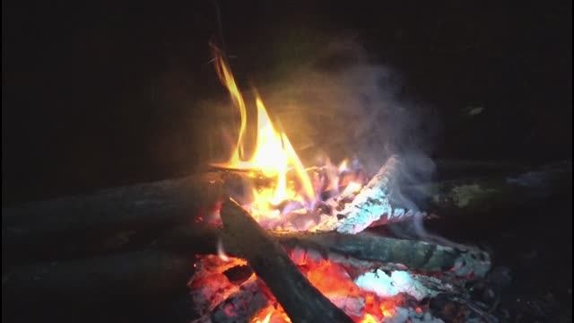 За налимом осенью. После этой рыбалки и ещё одной такой ,я больше его не ловлю, архив 21г.