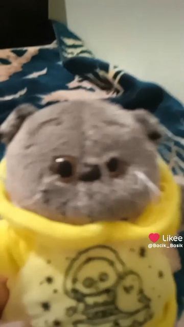 1000001364.mp4