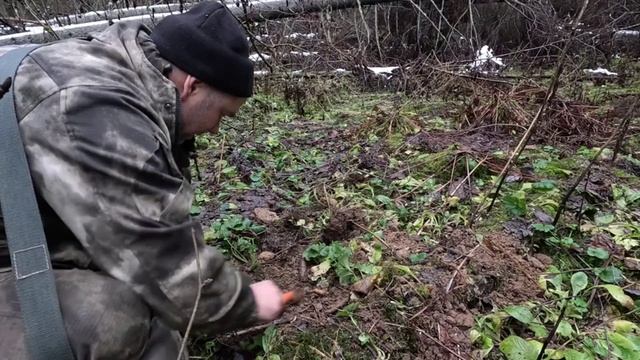 продолжаем копать лесную дорогу