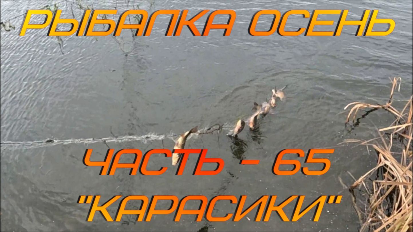 Рыбалка Осень. Часть - 65. "Карасики".