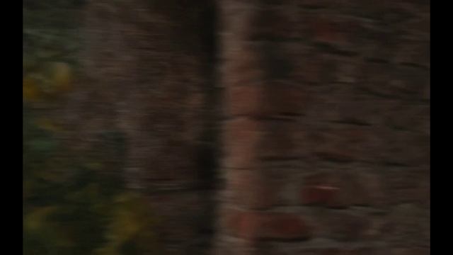 Бодрому_зрителю