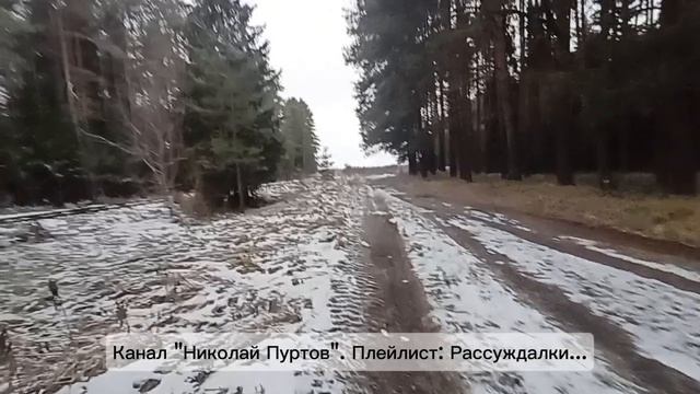 Воруют...,а нам: думайте...