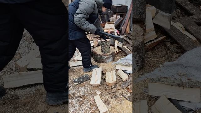 Дед и внук против сырости. Заготавливаем дрова в аномально тёплой Карелии.